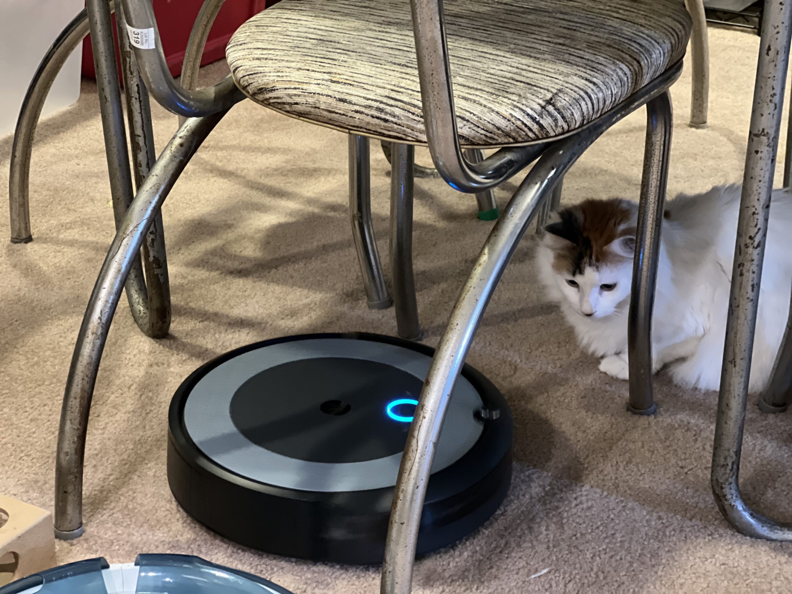 Favorite Tech of 2022 – AALL Legal Innovation & Technology SIS